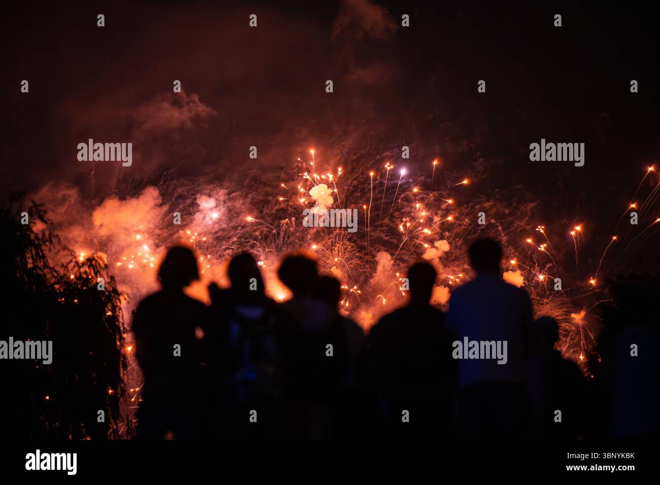 Seattle, USA. 4th July 2025. Seattleites take to the streets to ...