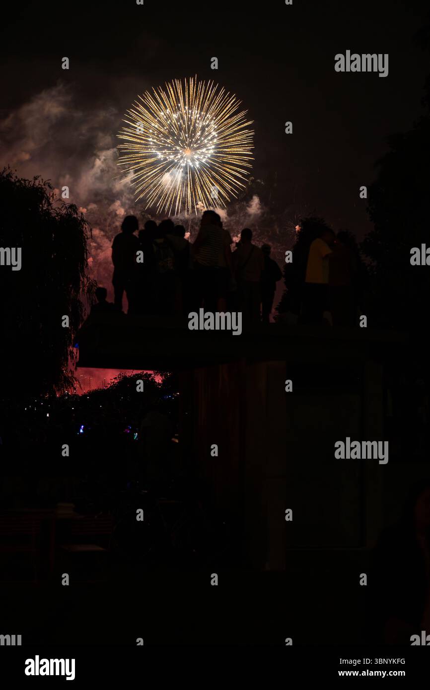 Seattle, USA. 4th July 2025. Seattleites take to the streets to ...