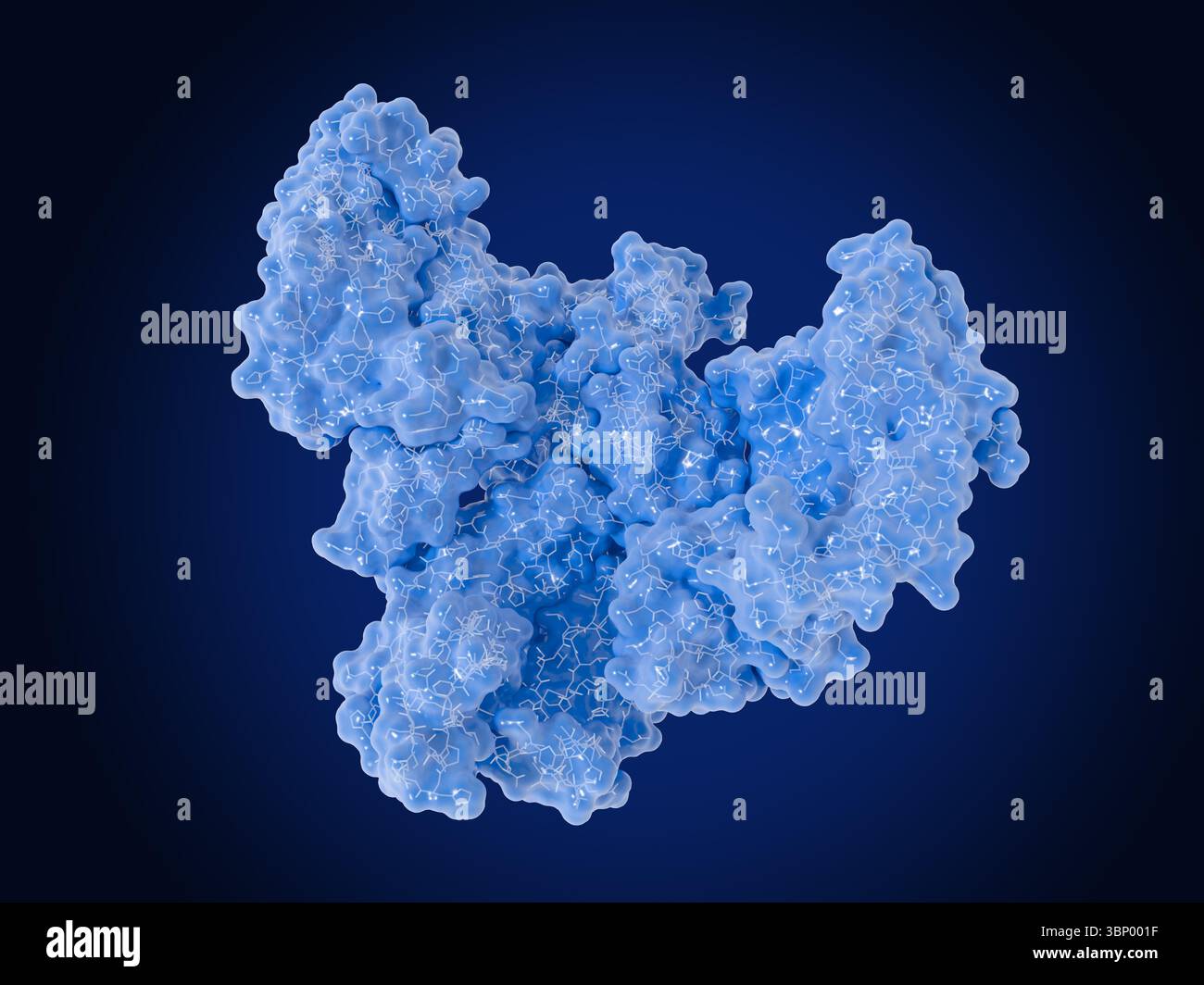 Illustration of a molecule of vascular endothelial growth factor (VEGF ...