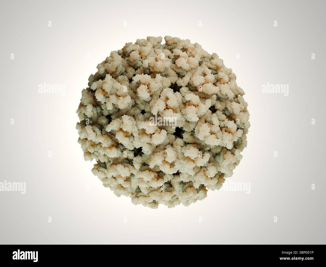Illustration of a Chikungunya virus particle. This mosquito-borne virus ...