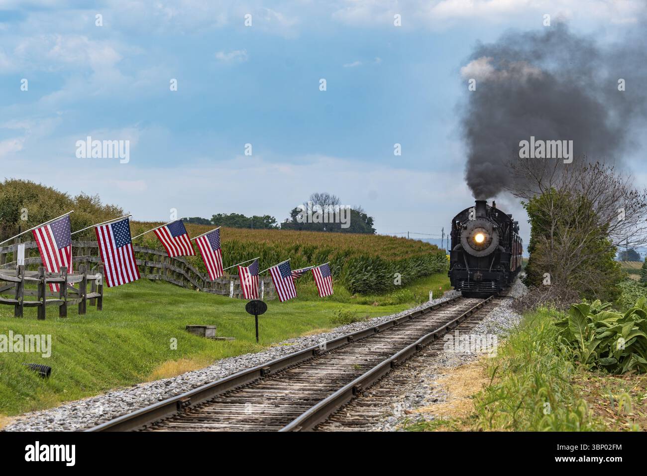 A classic steam train makes its way through a picturesque rural ...