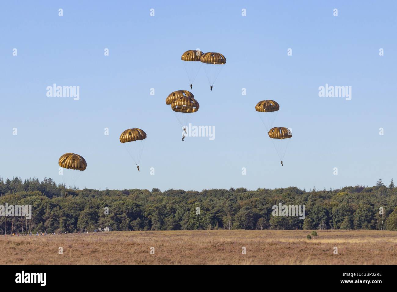 Paratroopers landing on the Ginkel heath 75 years remembrance of ...