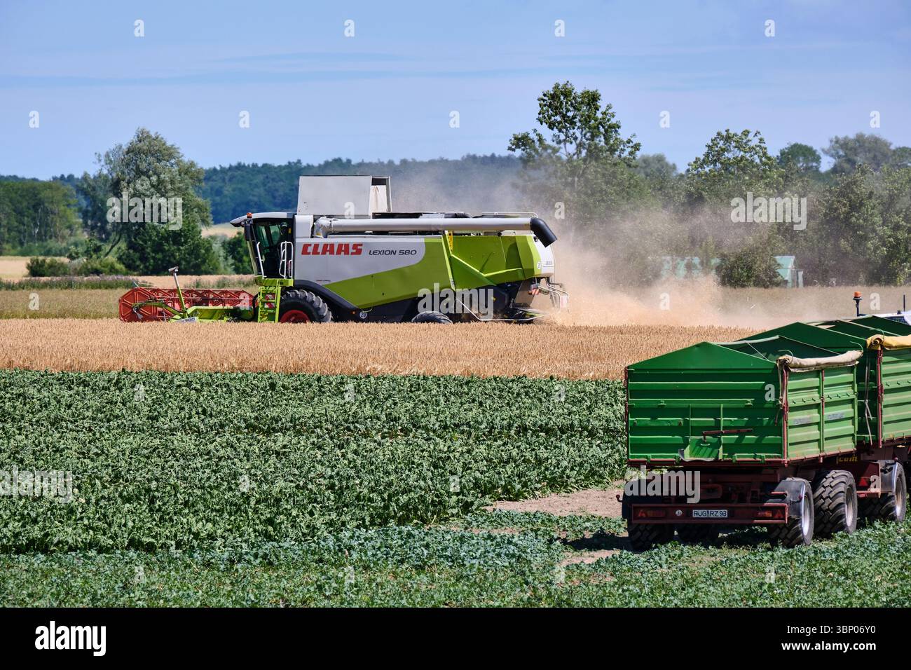 July 4, 2025 - Patzig-Germany: A Claas Lexion 580 combine harvester ...