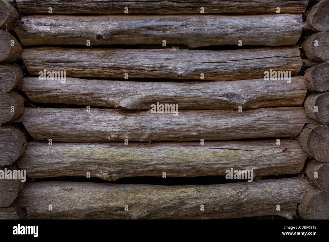 Close-Up View of Wooden Logs Stacked Together, Showcasing Natural ...