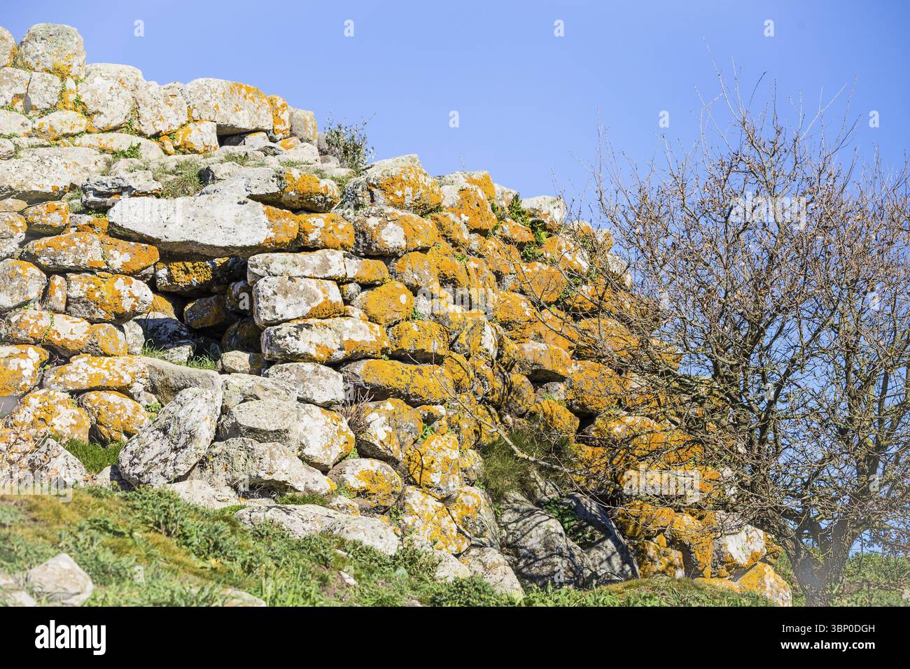 The tamuli hi-res stock photography and images - Alamy