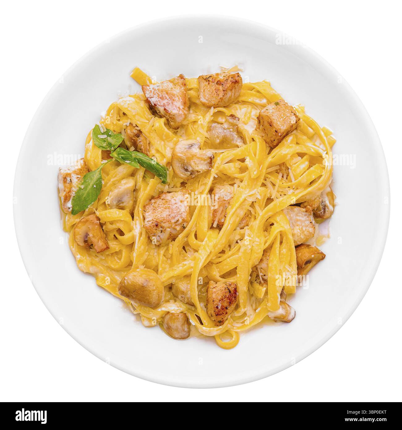 food still-life, Pasta with mushroom and soured cream sauce Stock Photo ...