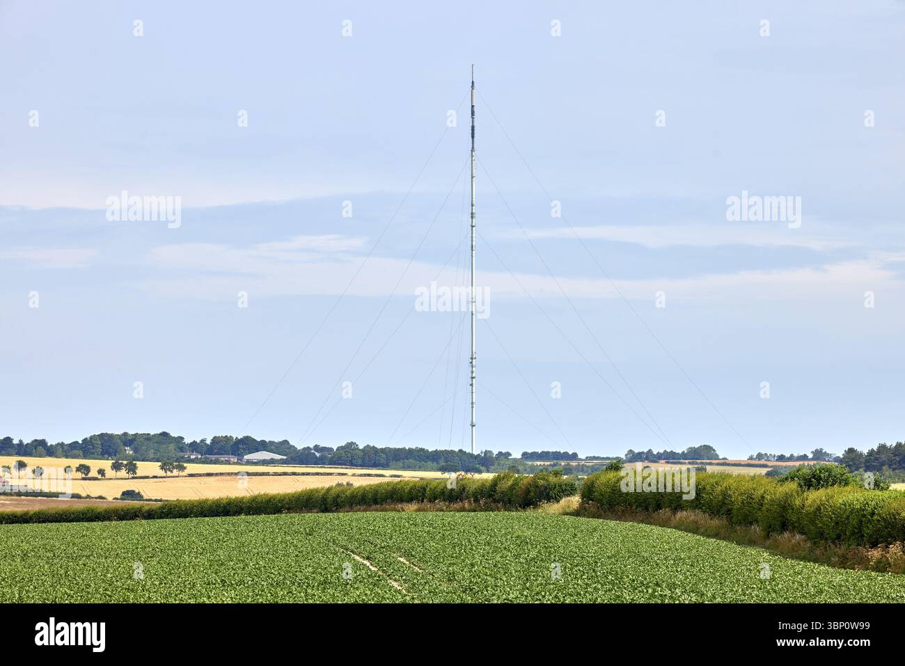The Belmont transmission mast is a towering telecommunications ...