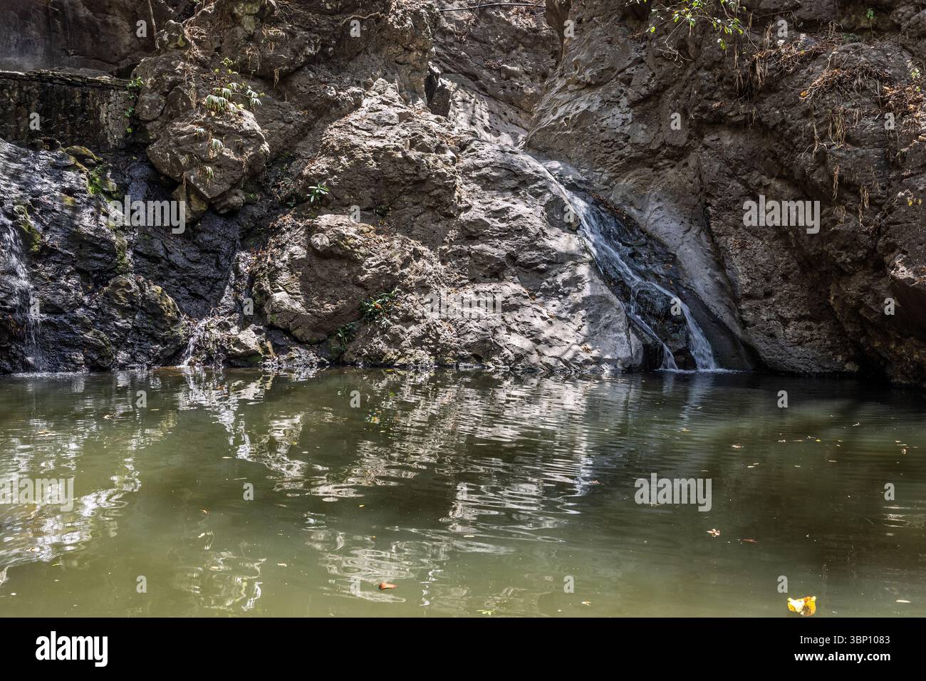 Pool, Parque Ecologico Bosque de Cinquera, El Salvador Stock Photo - Alamy