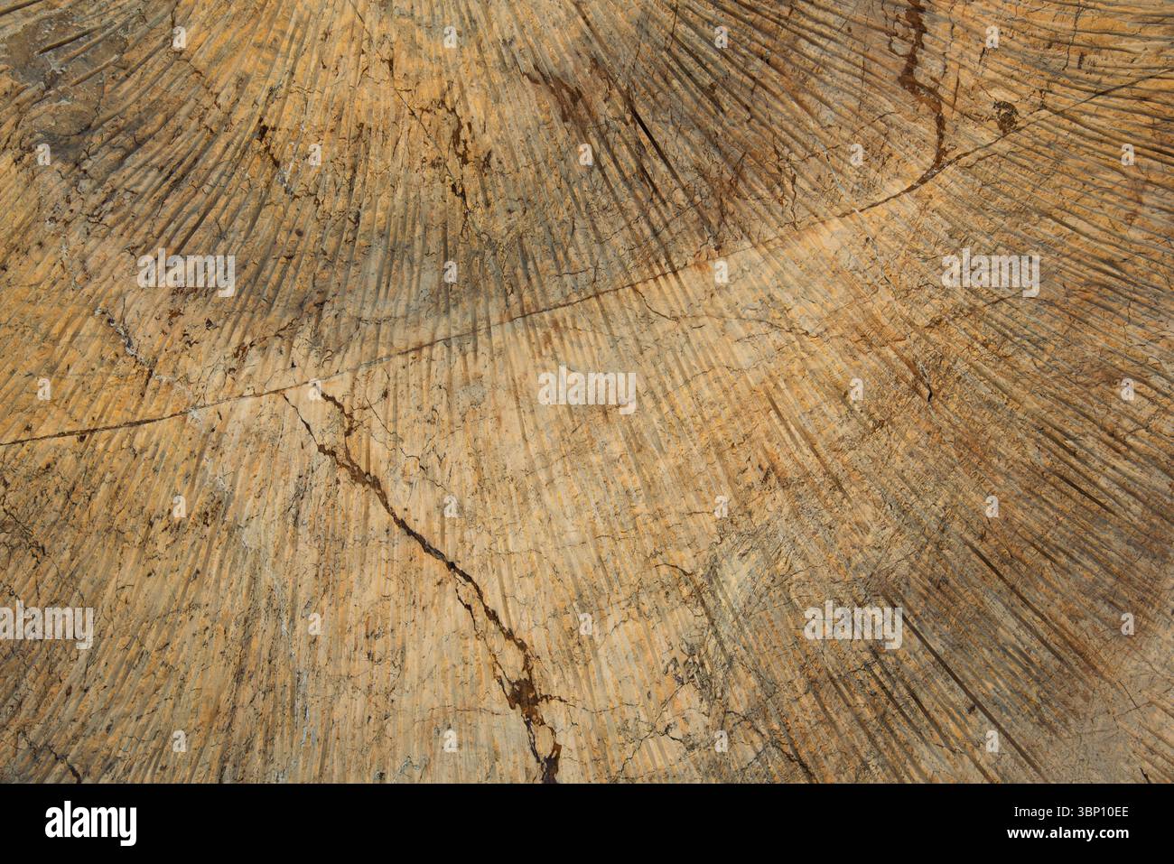 Textura, detalle de una roca erosionada Stock Photo - Alamy