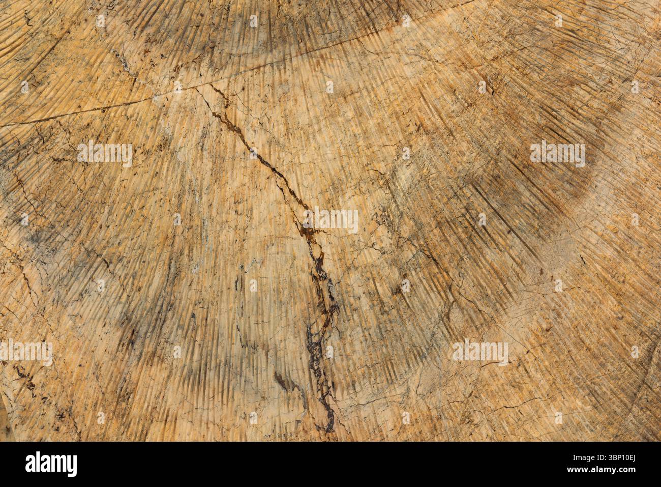Textura, detalle de una roca erosionada Stock Photo - Alamy