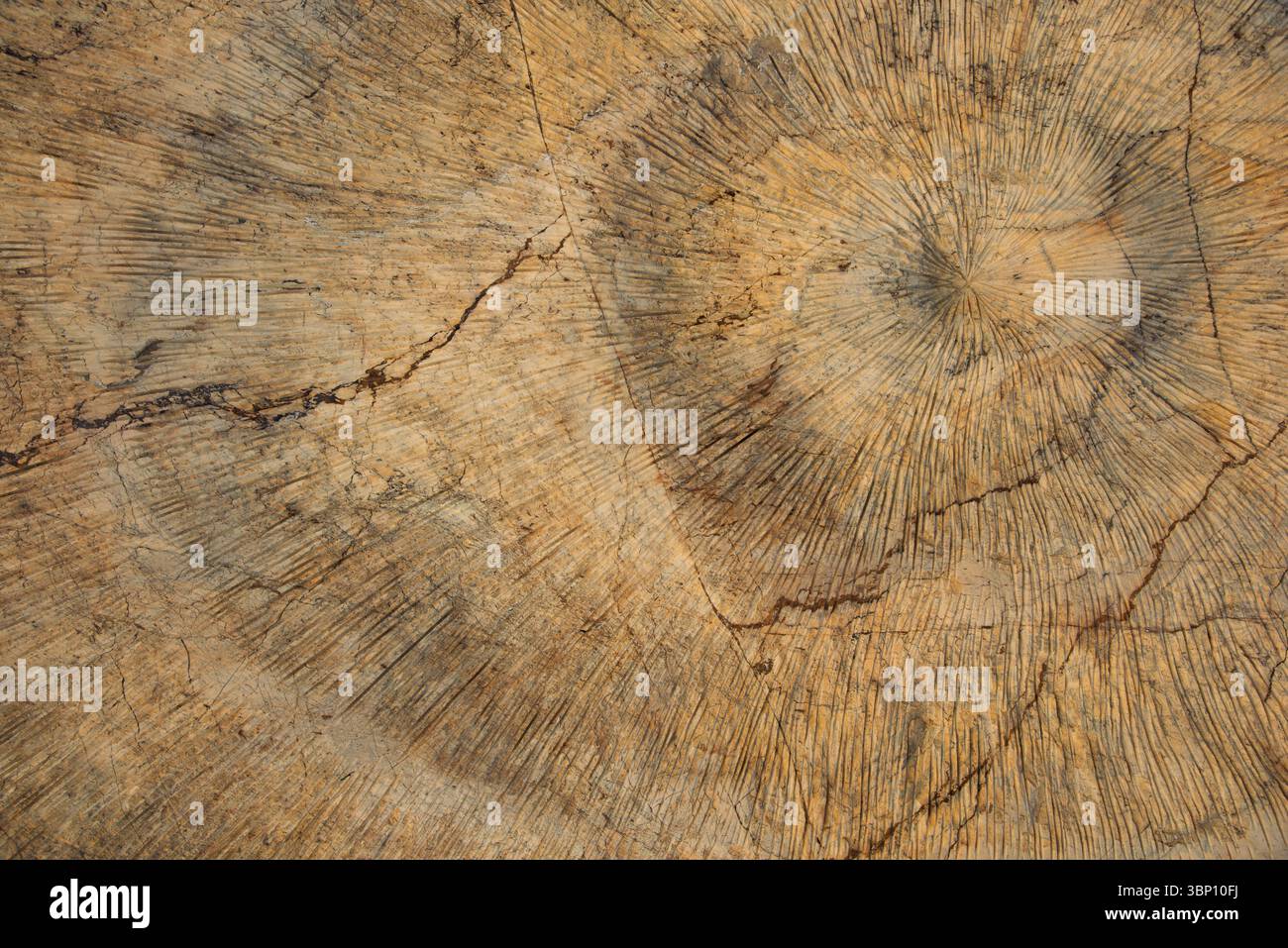 Textura, detalle de una roca erosionada Stock Photo - Alamy