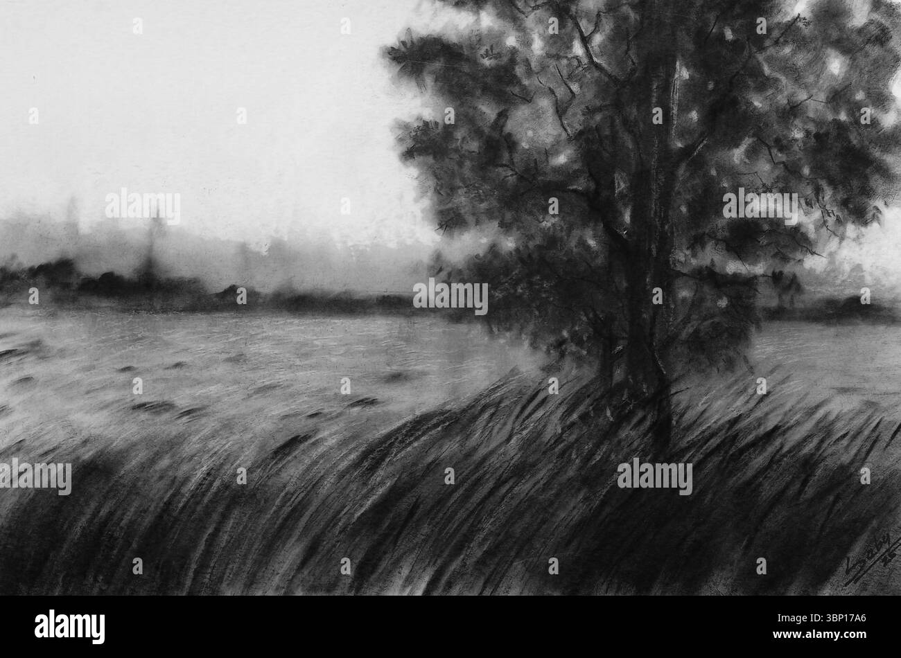 Paper art moon Black and White Stock Photos & Images - Alamy