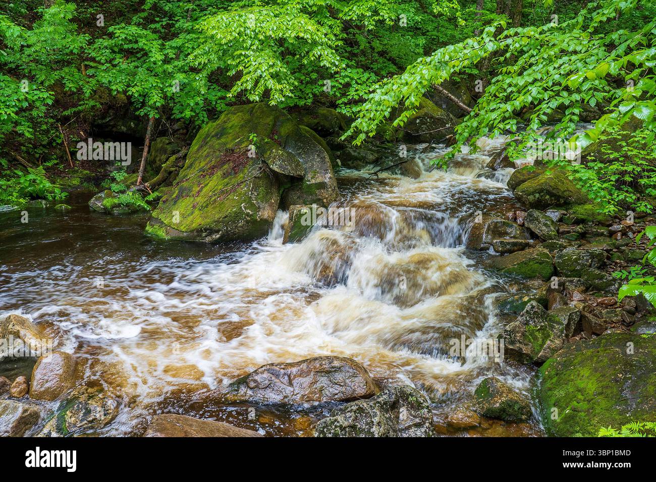 Parc national de la Jacques-Cartier, Quebec, Canada Stock Photo - Alamy