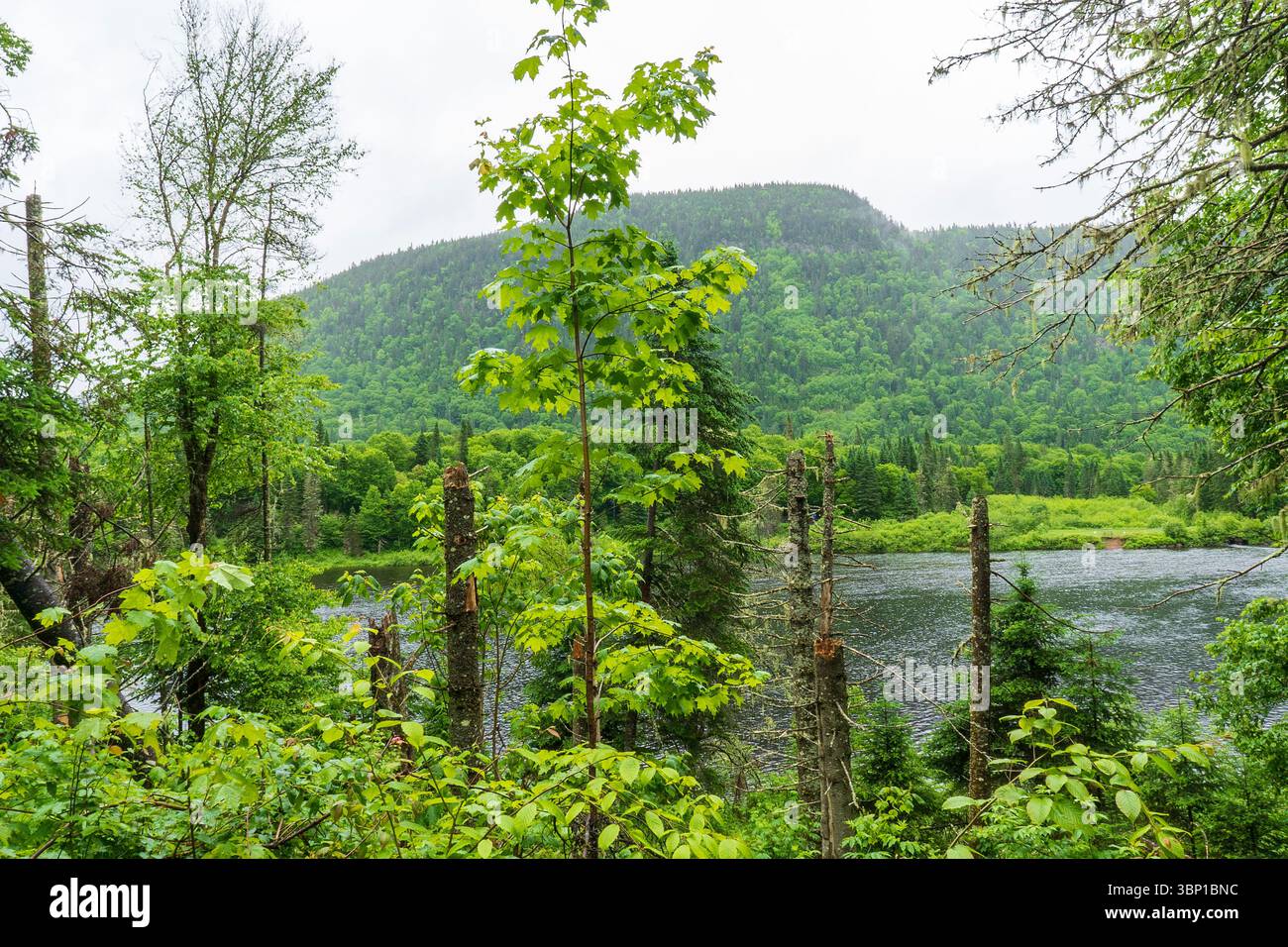 Parc national de la Jacques-Cartier, Quebec, Canada Stock Photo - Alamy
