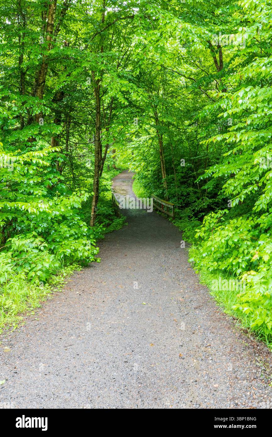 Parc national de la Jacques-Cartier, Quebec, Canada Stock Photo - Alamy
