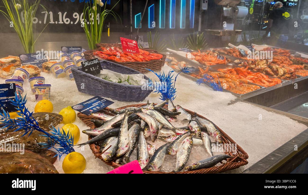 Fresh fish, algae and seafood on the ice on the counter, of the French ...