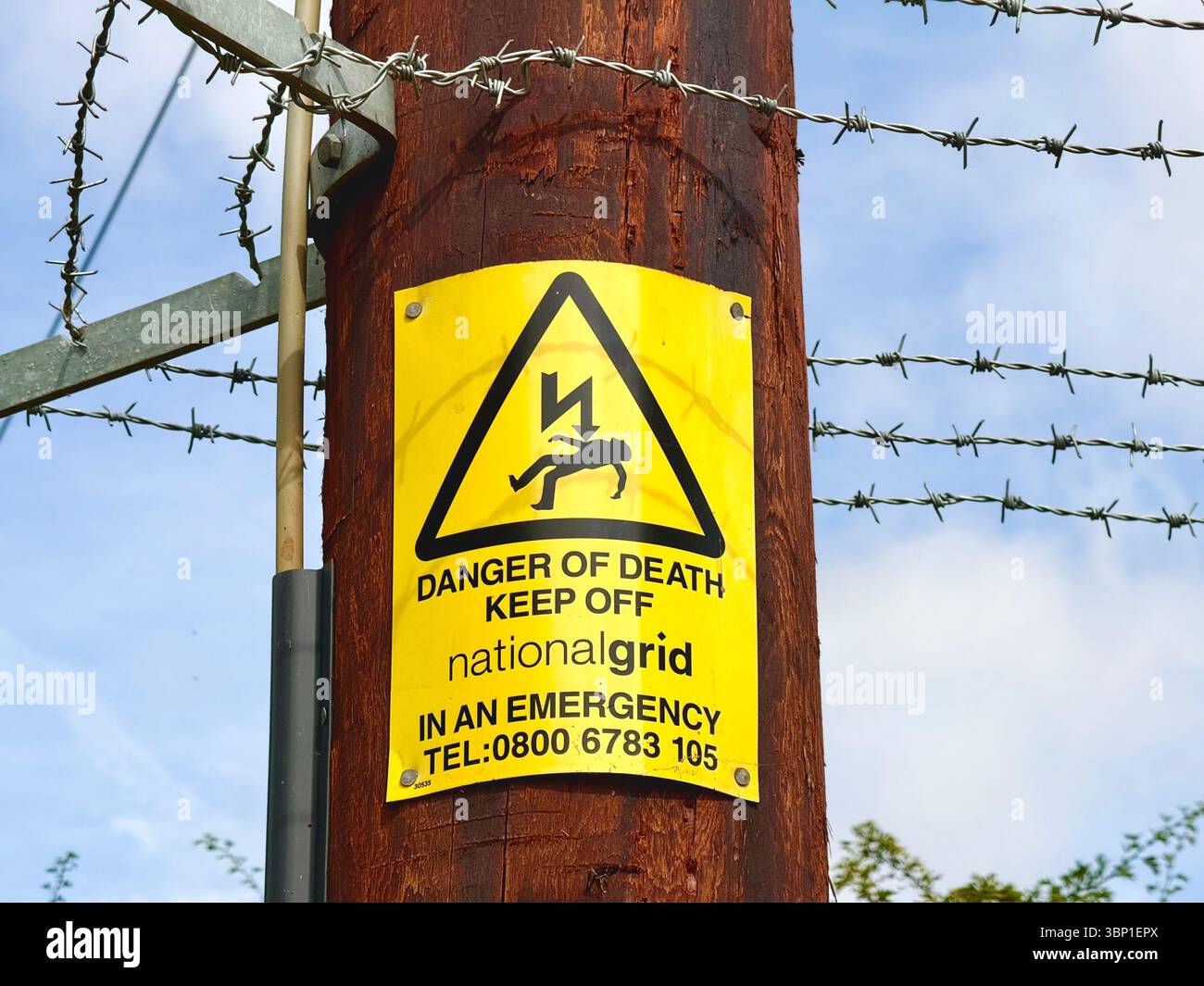 Danger warning signs on telegraph poles carrying electricity power ...