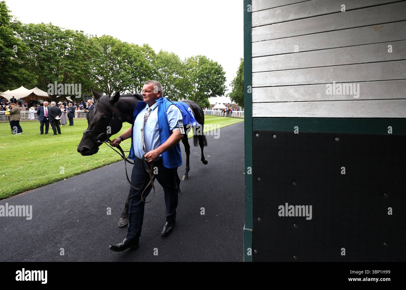 Horse Camille Pissarro being led to the parade ring ahead of the Coral ...