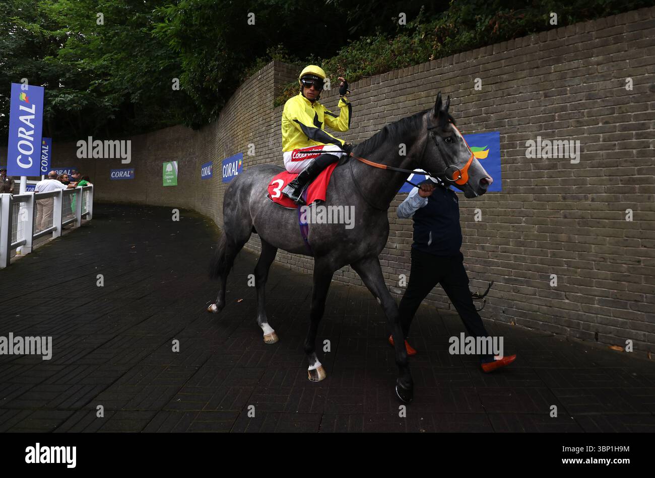 Artic Grey ridden by Sean Levey being led out ahead of the Coral ...