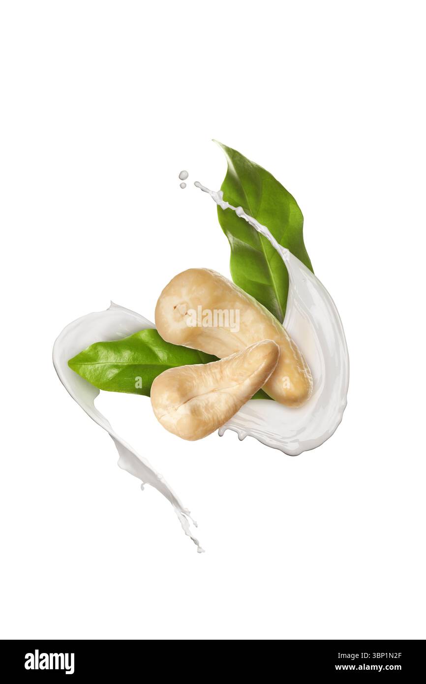 Milk nut splash, cashews and green leaves against white background ...