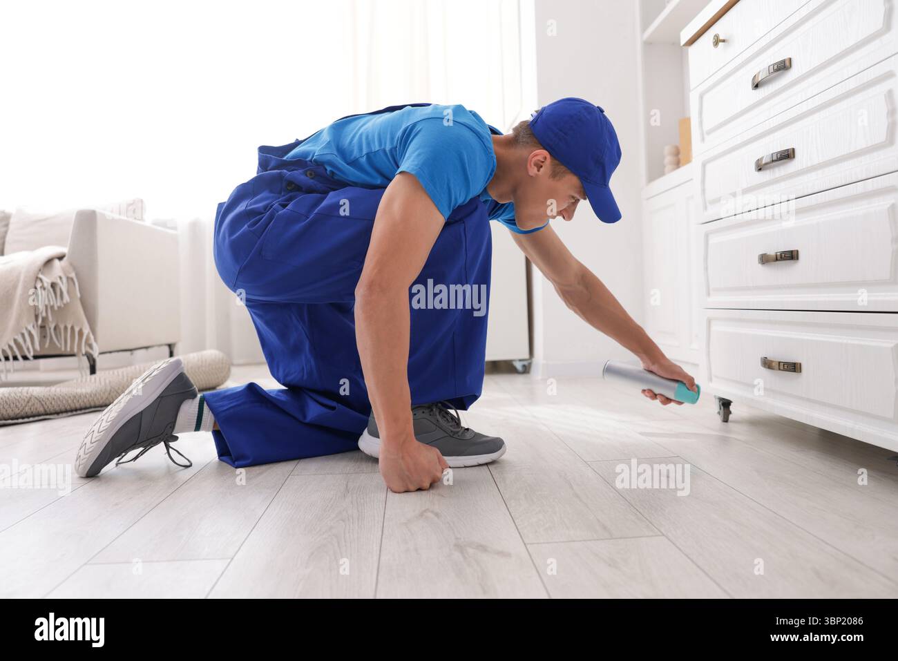 Pest control worker spraying insecticide at home Stock Photo - Alamy