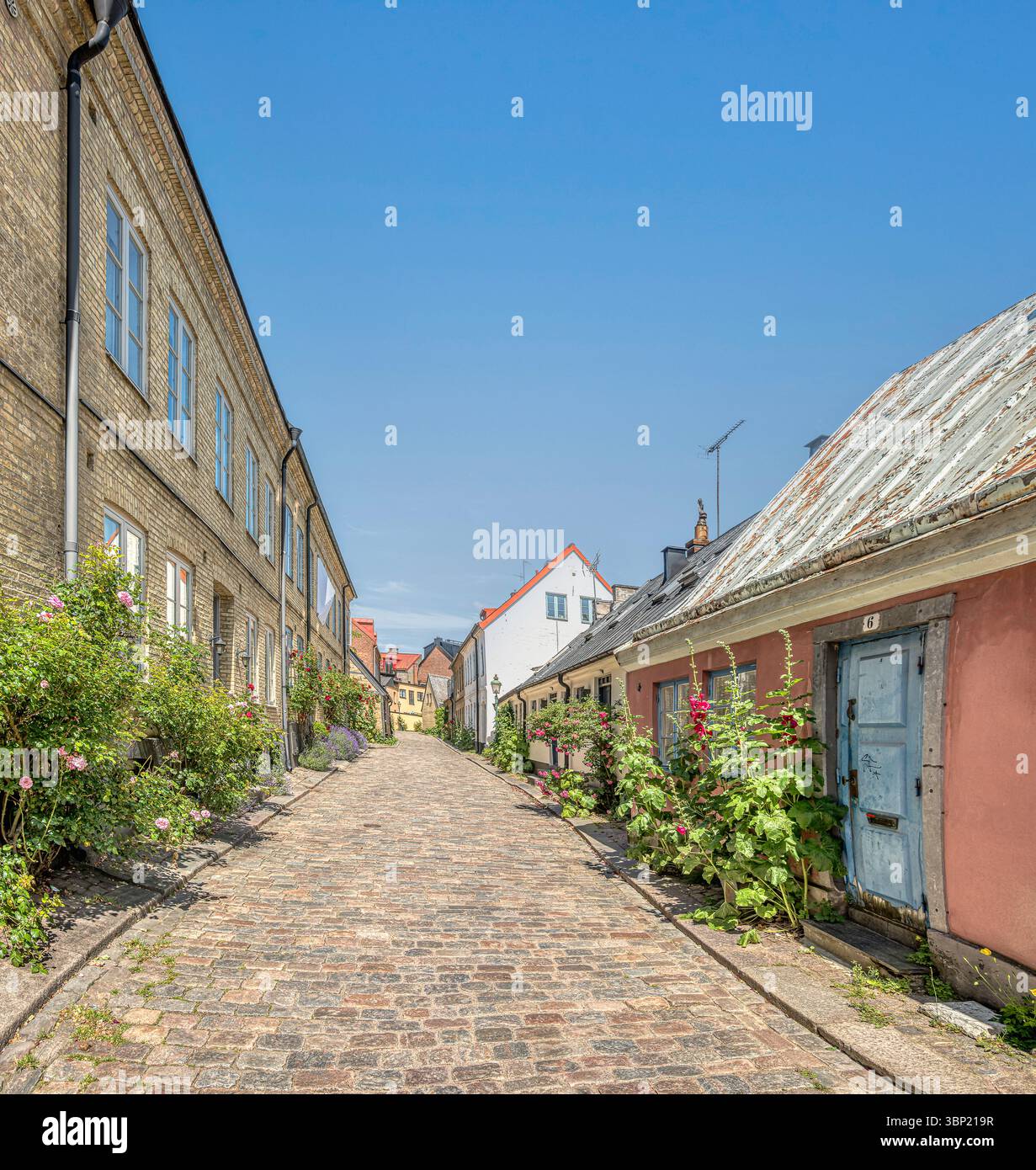 Charming Hjortgatan in Lund, Sweden—cobblestone street, historic houses ...