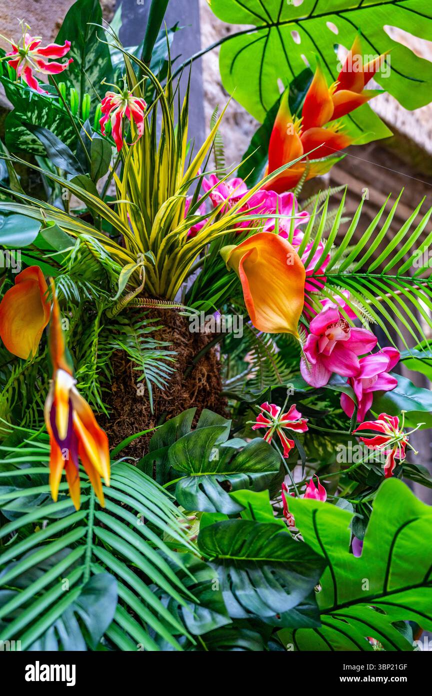 Exotic fake plant display hi-res stock photography and images - Alamy