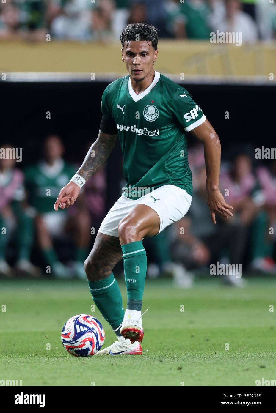 Palmeiras richard rios 2025 hi-res stock photography and images - Alamy