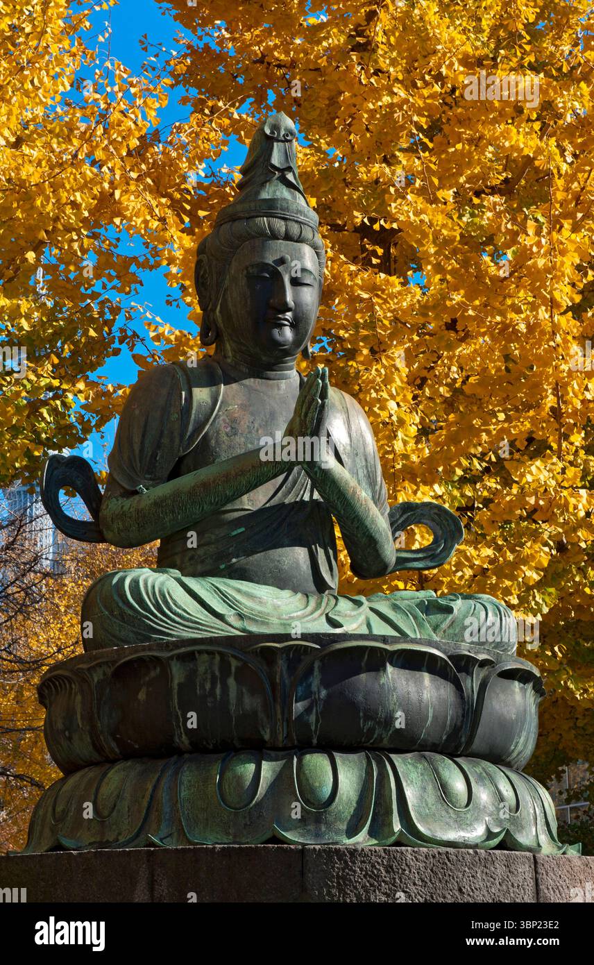 Sensoji temple grounds vertical hi-res stock photography and images - Alamy