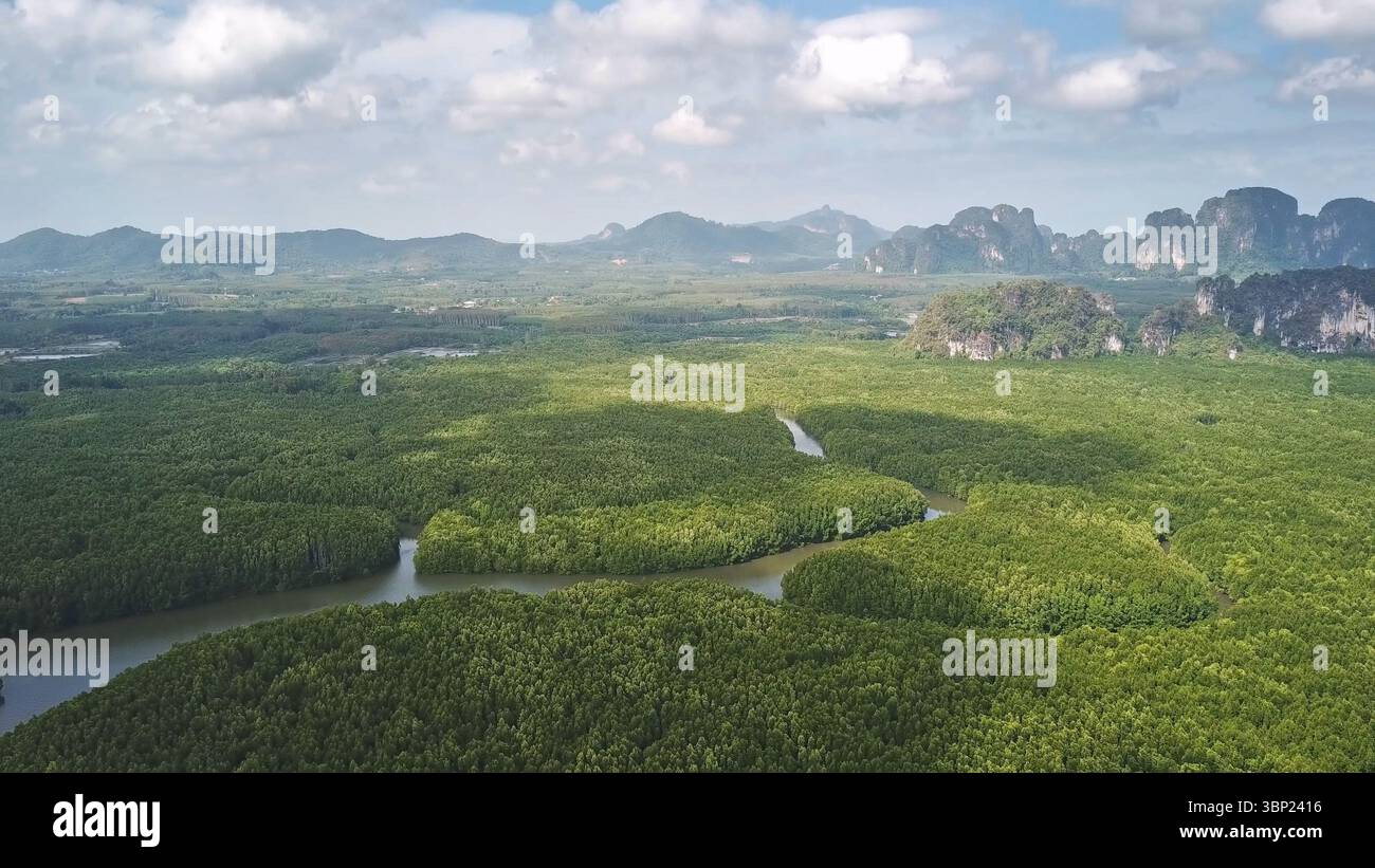 Mangrove forest estuaries strait in Thailand Stock Photo - Alamy