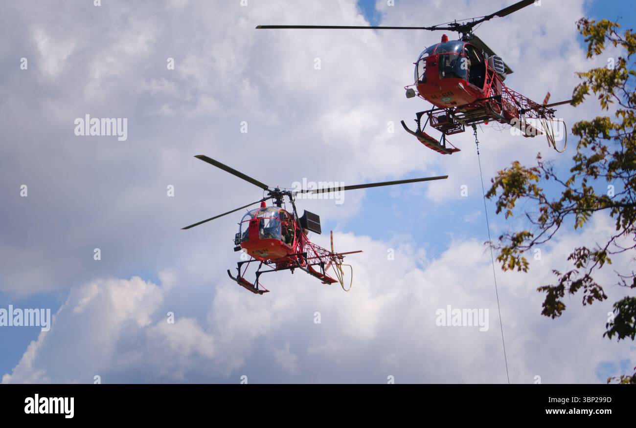 Two Aérospatiale SA 315B Lama helicopters, operated by the Argentinian ...