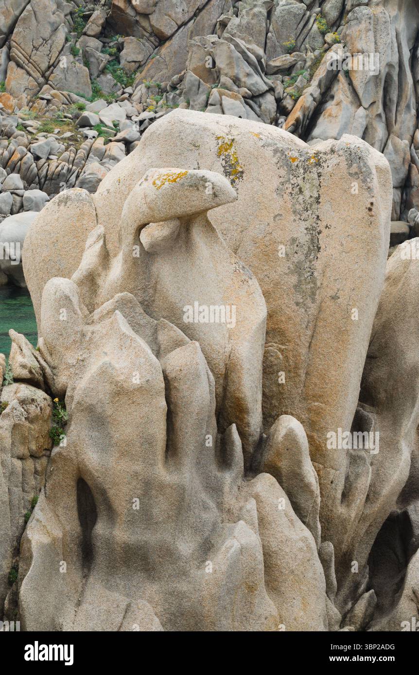 Giant rocks animal like over sea cliffs of Capo Testa, near Santa ...