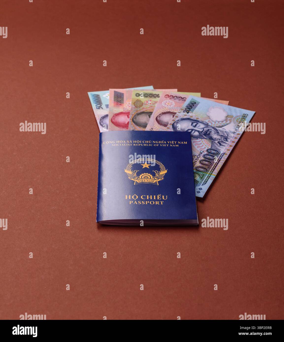 Vietnam passport for travelling, flying and doing business. Vietnamese ...