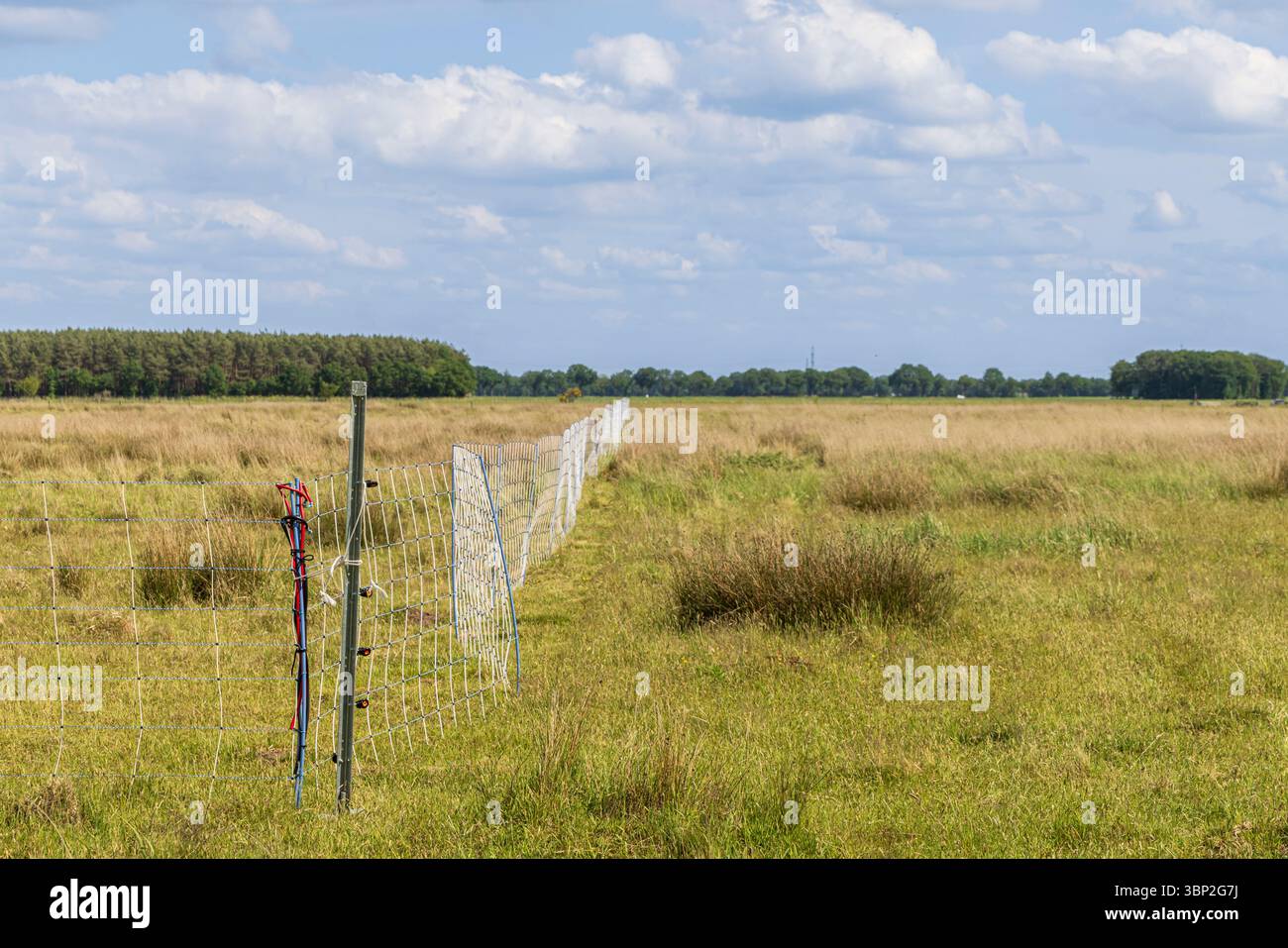 Wolf repellent grid at herb grass land to make sure farm animals cannot ...
