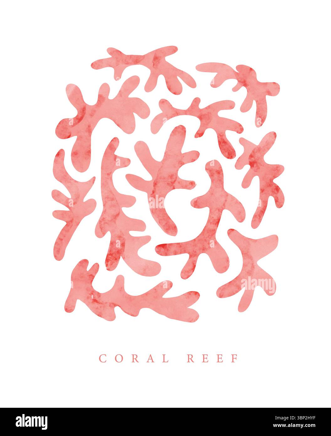 Corals texture on wall Stock Vector Images - Alamy