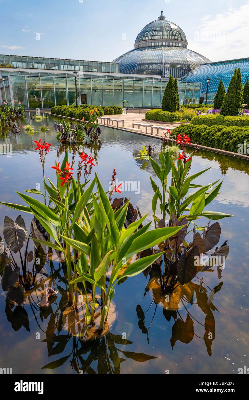 Como Park Conservatory Building under the bright summer sun, surrounded ...