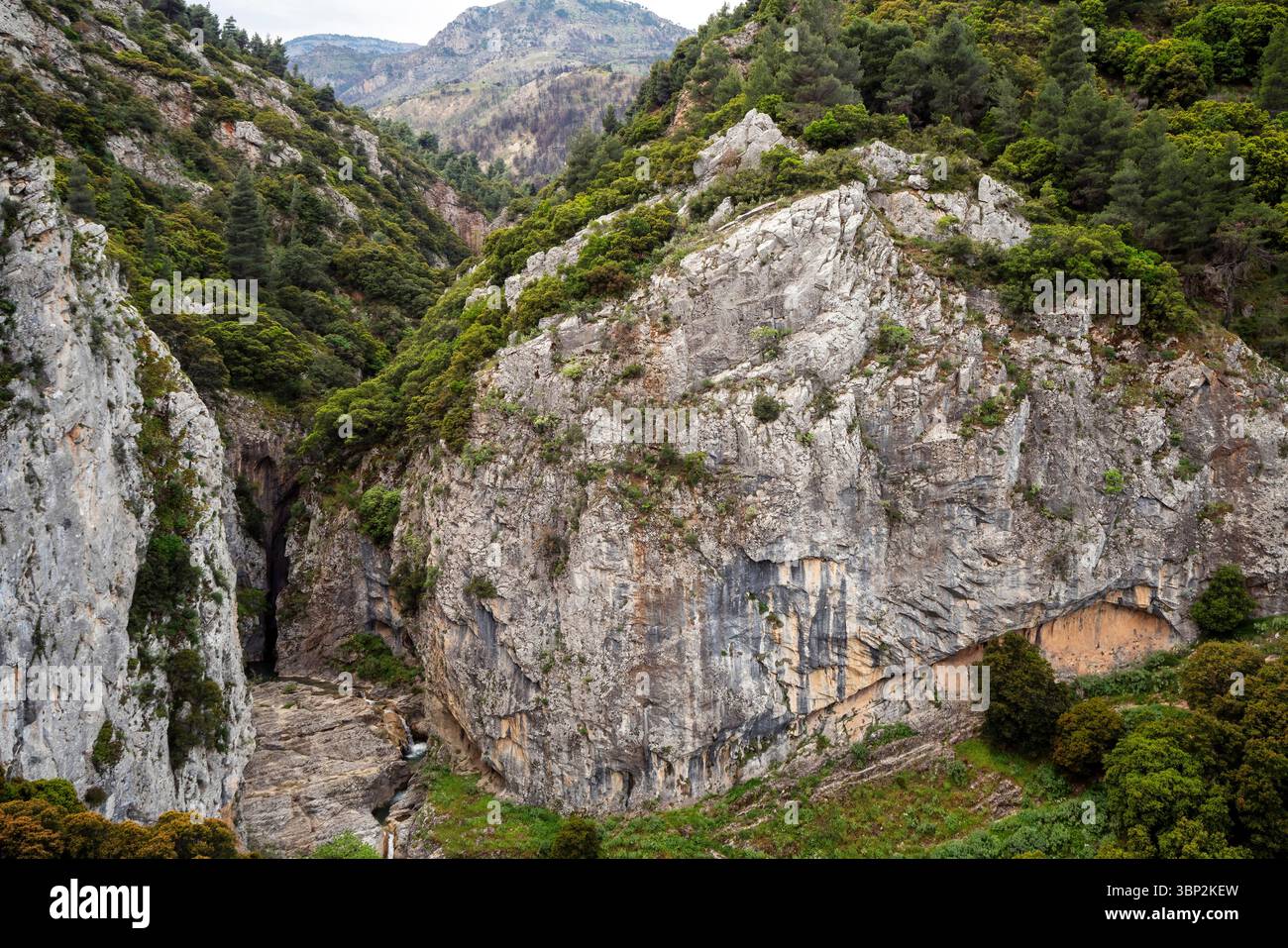 Steep grey limestone walls split to expose narrow Saint Luke Gorge ...