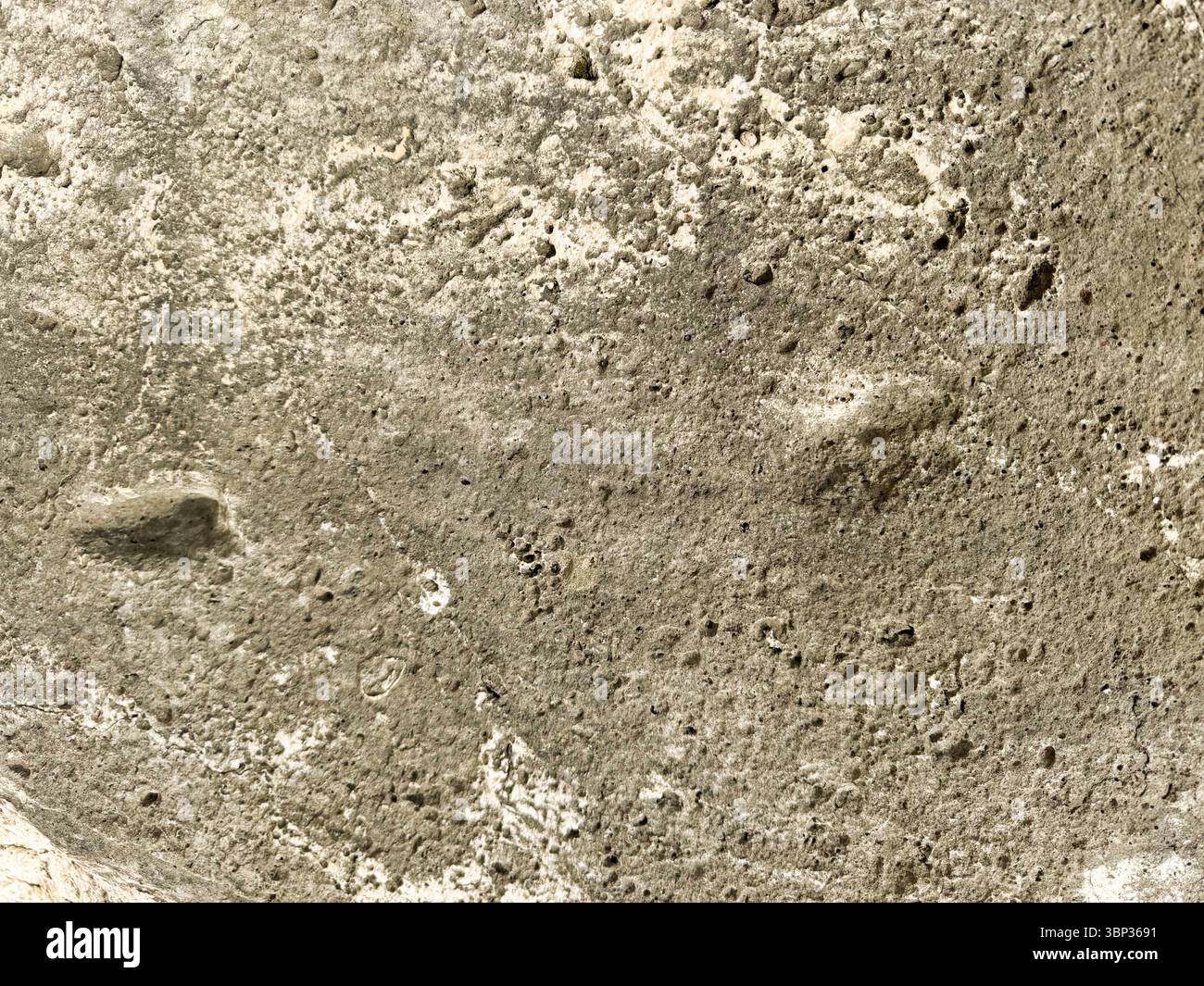 Surface of a weathered stone showing unique textures and markings in ...