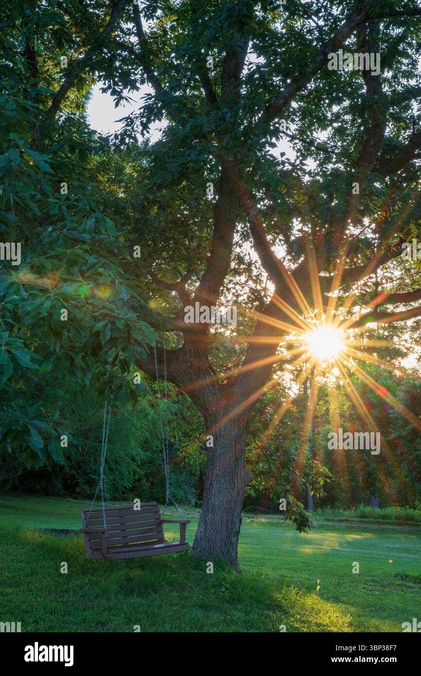 Empty swing hangs in hi-res stock photography and images - Alamy