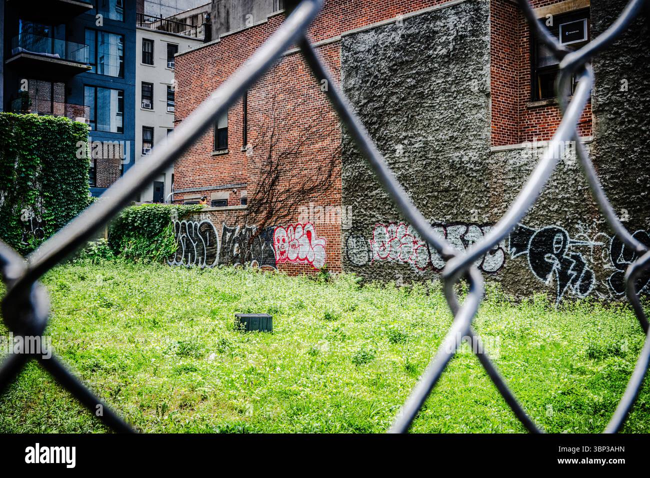 New York City street photography graffiti scenes - gritty urban scene ...