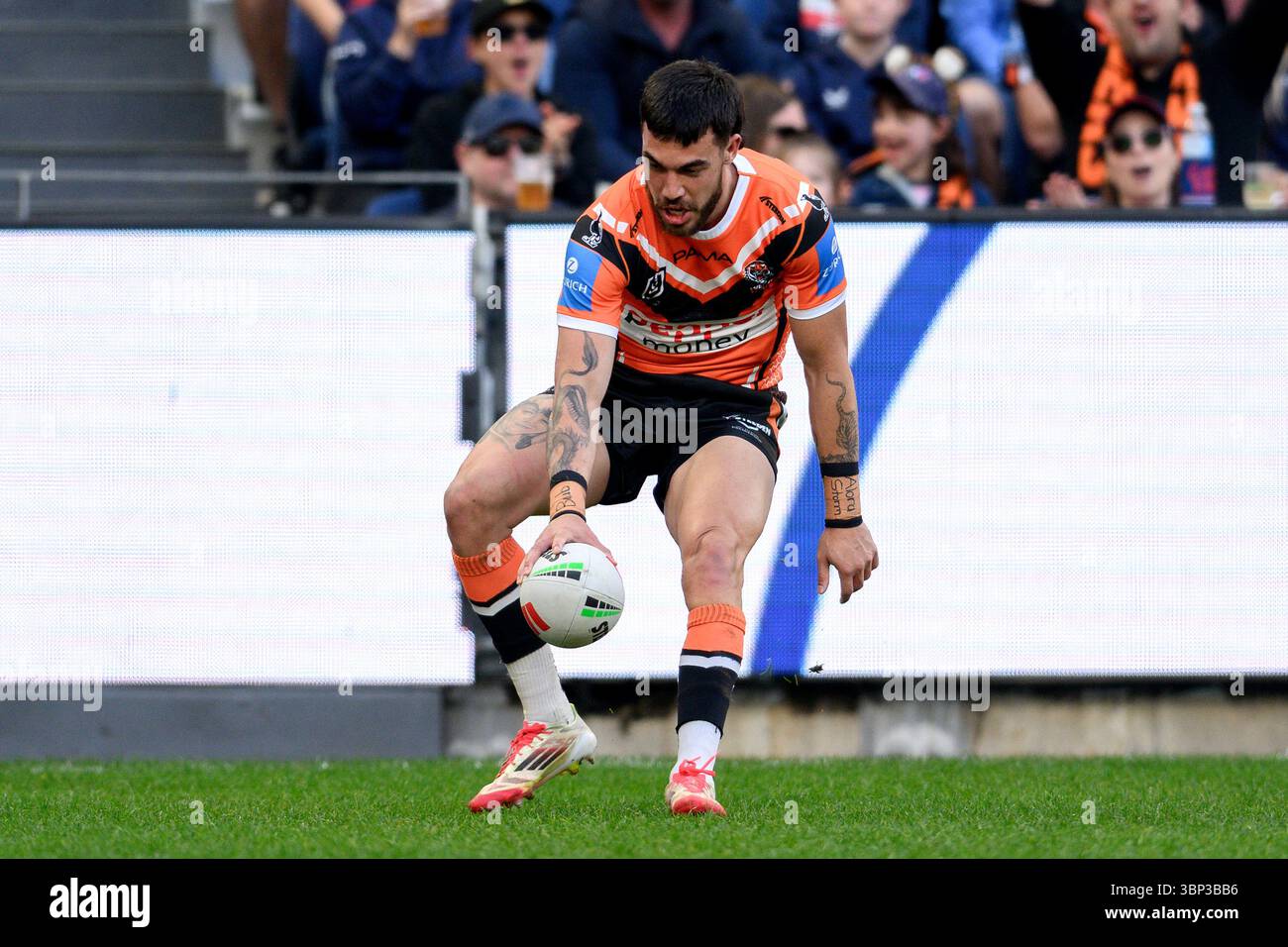 Charlie Staines of the Tigers scores a try during the NRL Round 18 ...