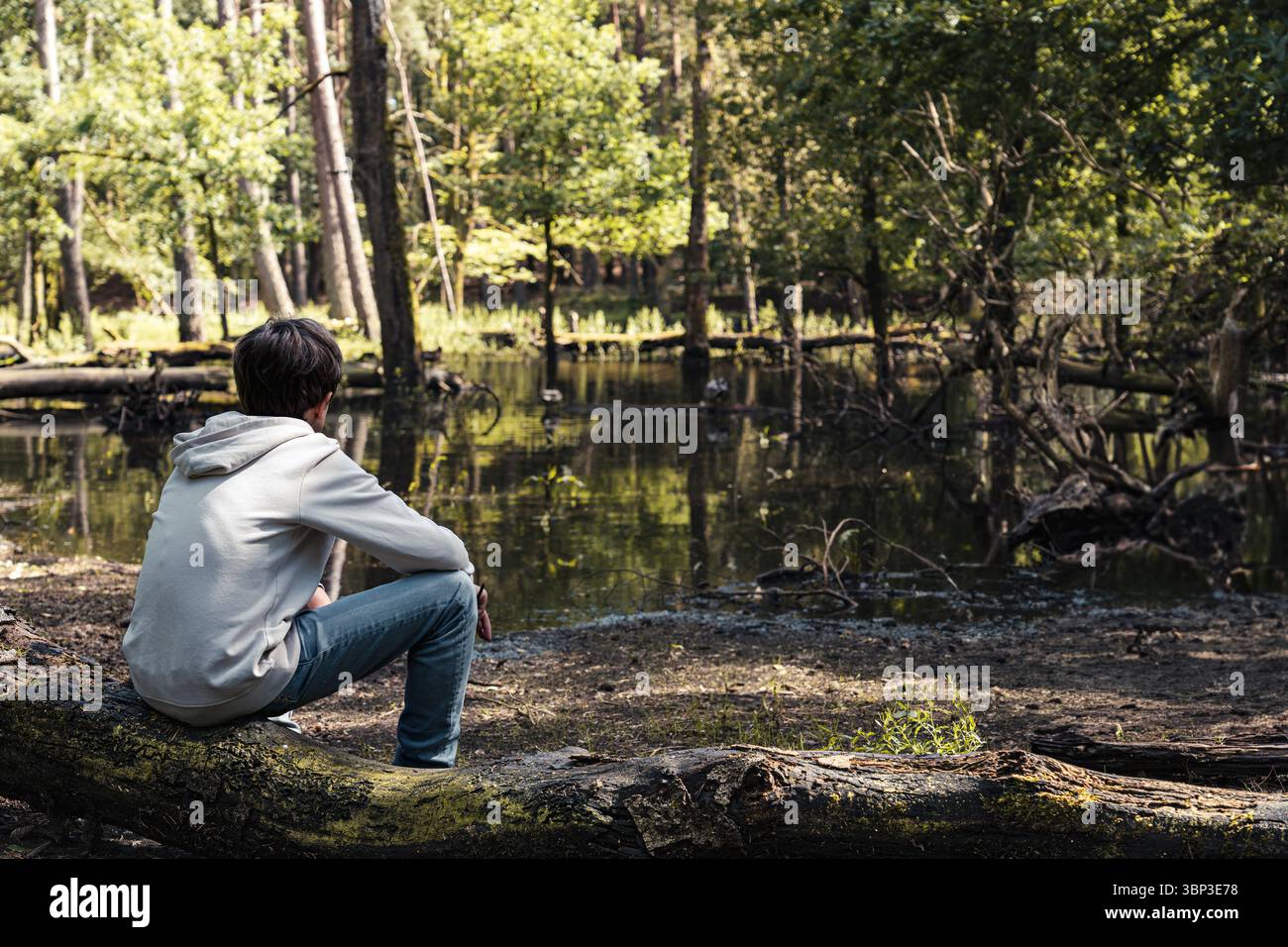 Boy rests on a tree trunk, gazing at the pond in the forest. Warm ...