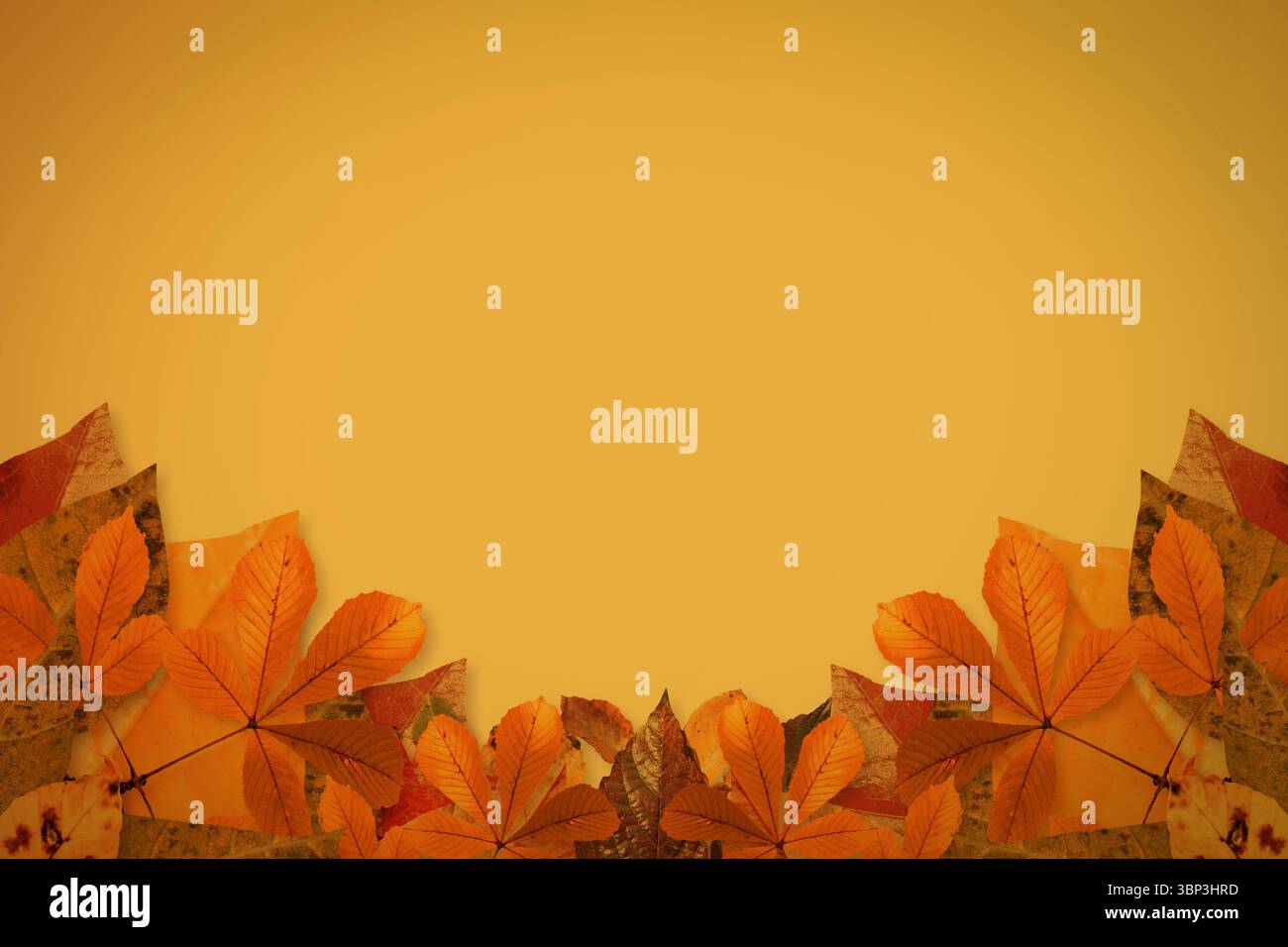 Flat design autumn leaves are forming border along bottom on golden ...