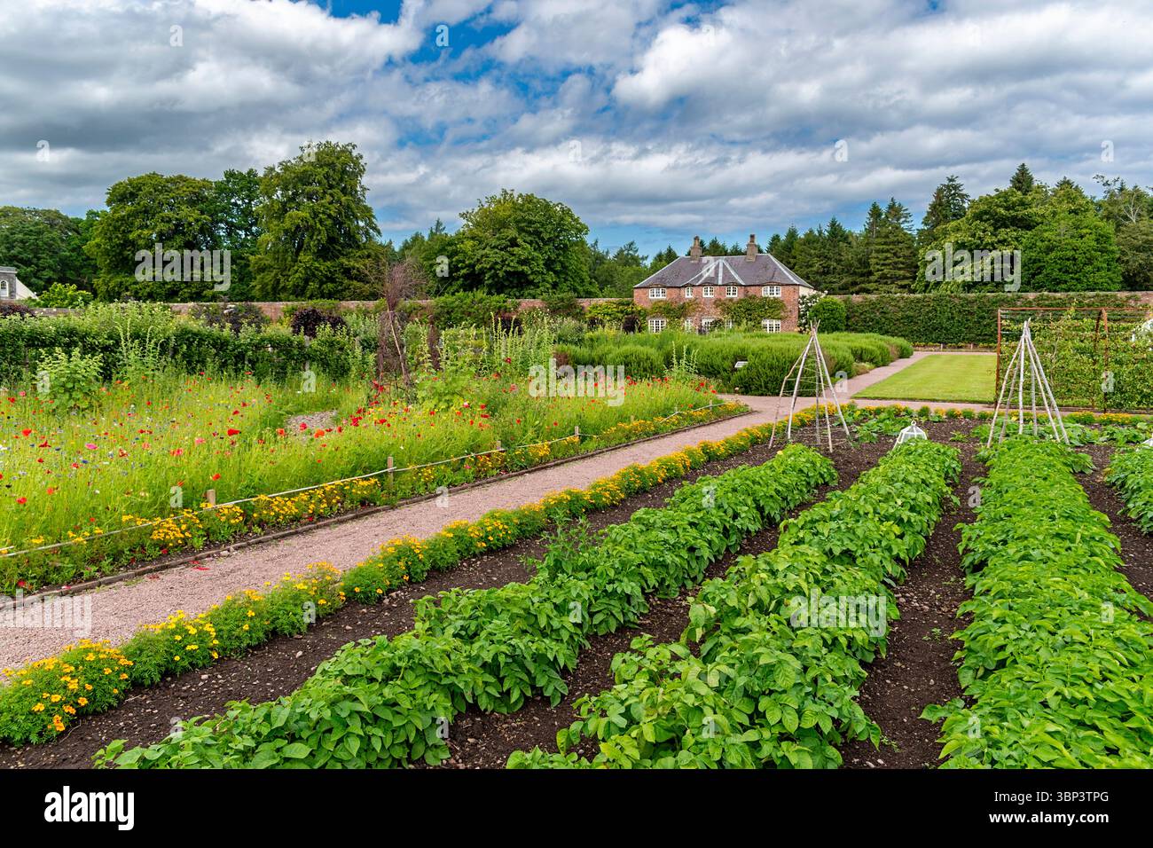 Gordon Castle Gardens Fochabers Scotland the walled garden wild flower ...
