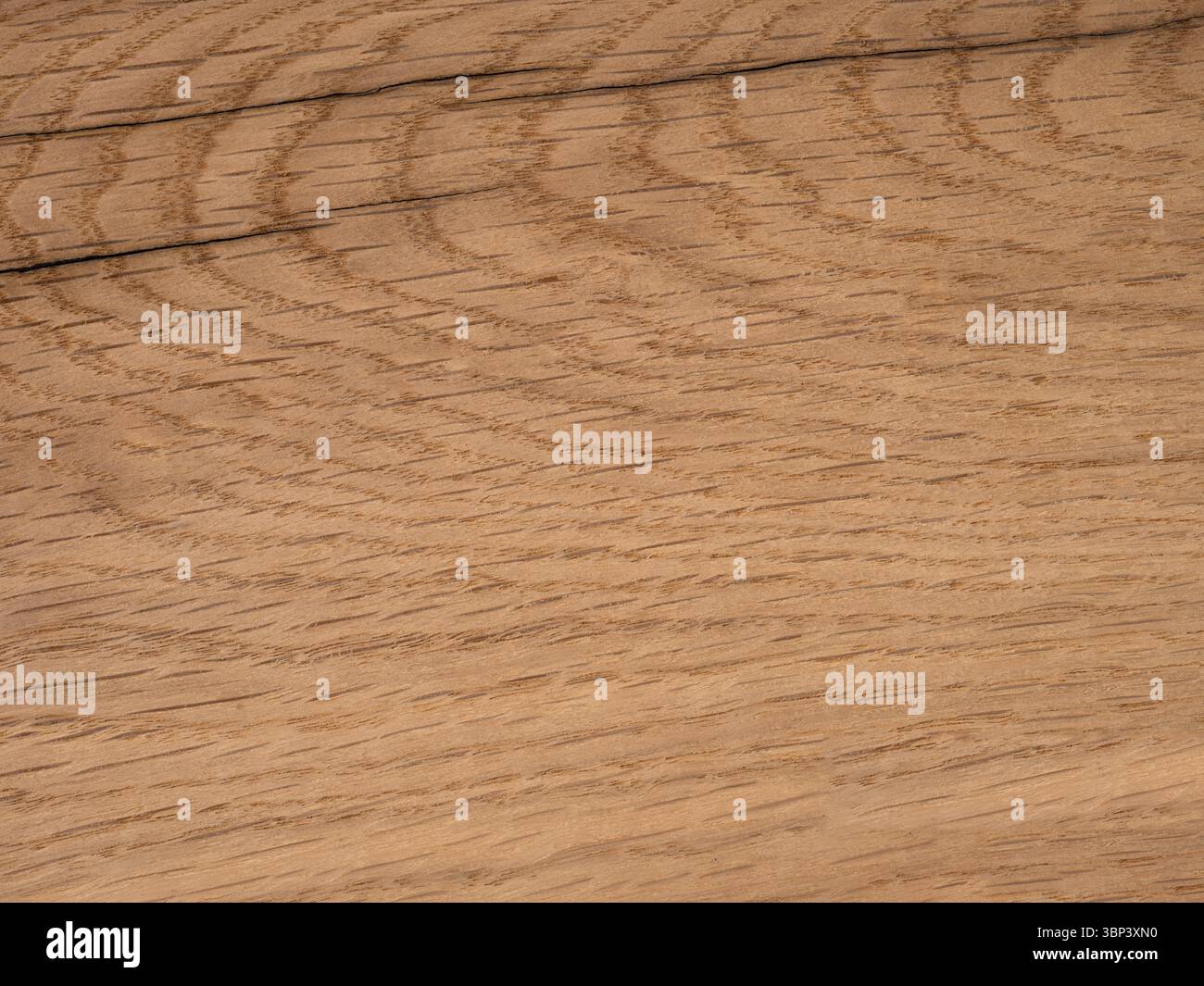 Warm-toned European oak old beams veneer showcasing natural rings and ...