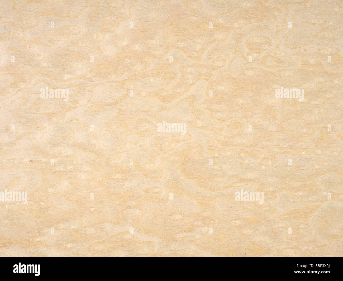 Whimsical patterns of creamy vanilla and soft alabaster swirl in the ...