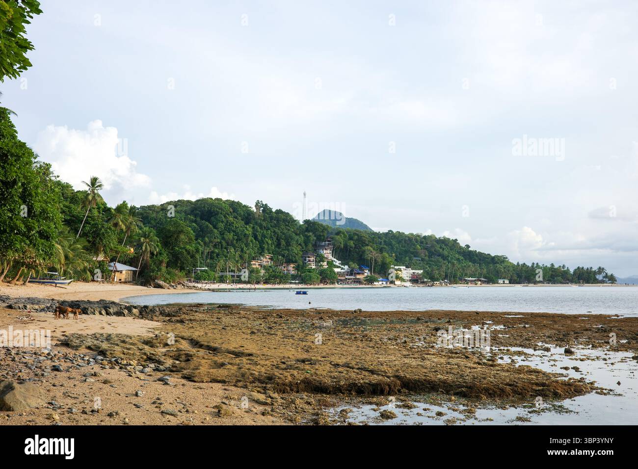 A secluded tropical beach in Palawan, Philippines. Tropical coastal ...