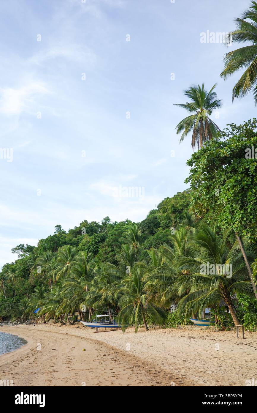 A quiet secluded tropical beach in Palawan, Philippines. Tropical ...