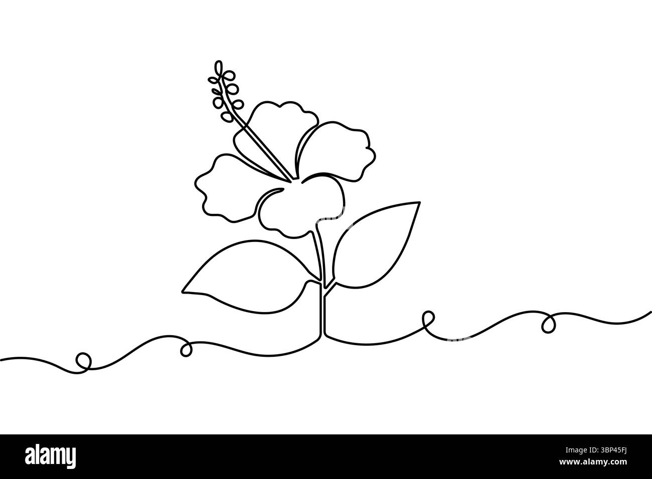 Hibiscus flower one line drawing minimalist vector illustration Stock ...