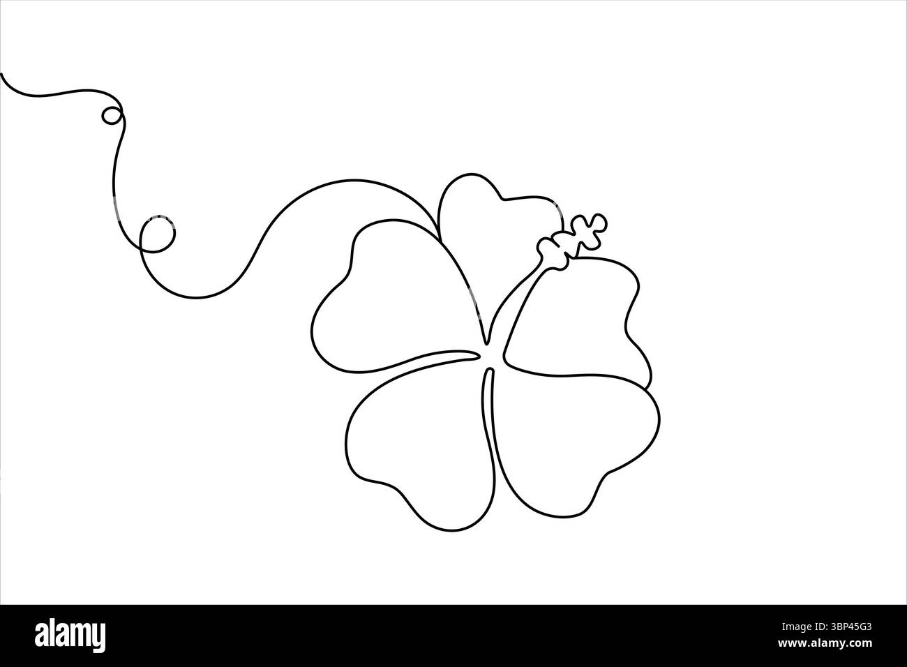 Hibiscus flower one line drawing minimalist vector illustration Stock ...